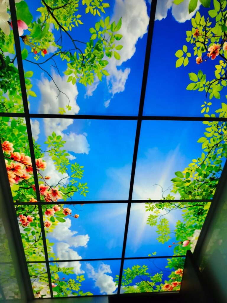 Acrylic ceiling Rs.120 per square foot | Best Contractor In Lowest price
