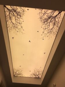 Acrylic ceiling Rs.120 per square foot | Best Contractor In Lowest price