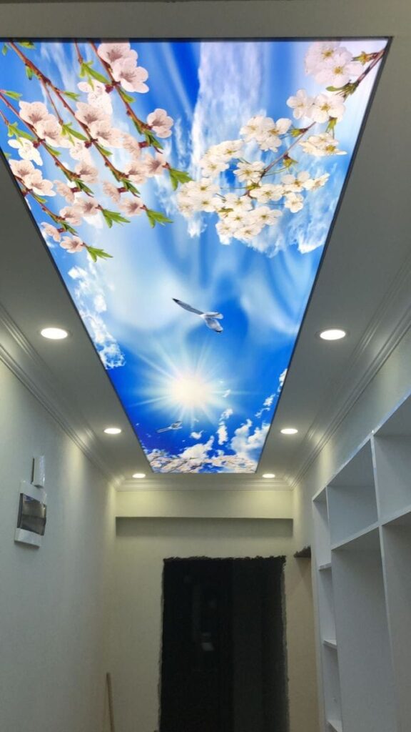 Acrylic ceiling Rs.120 per square foot | Best Contractor In Lowest price